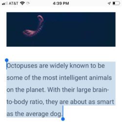 Tech Tips Smartphone 101: How to copy & paste on your smartphone - Oak ...